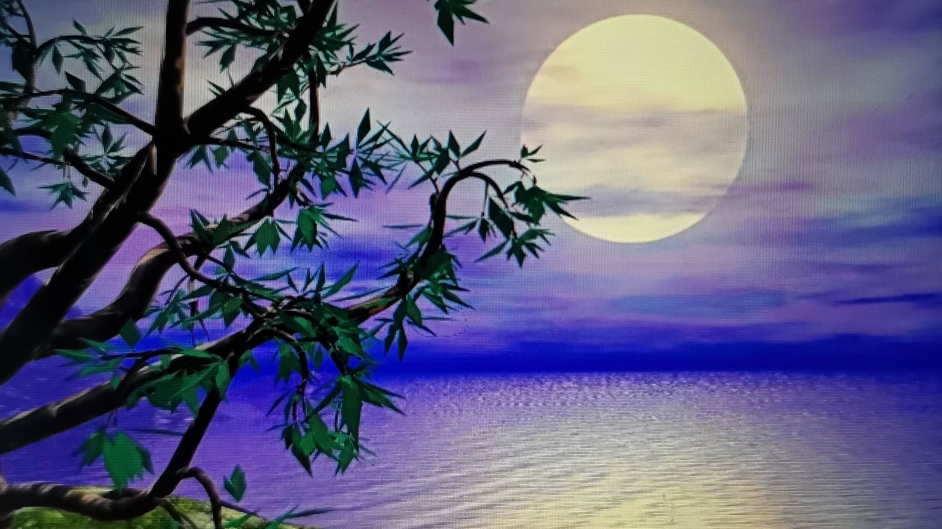 Эти летние ночи прекрасные