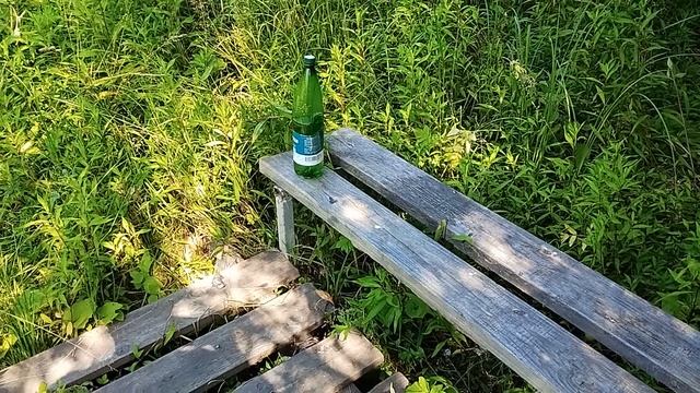 Родник "Серебряный" в селе Криулино