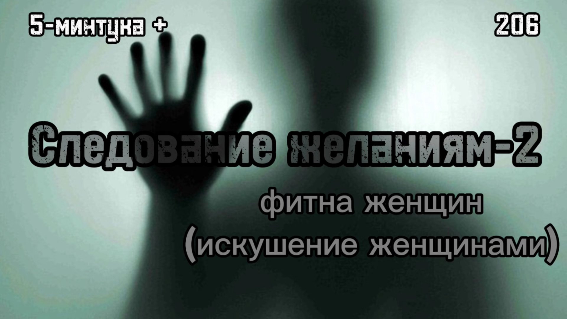 5-минутка +: 206 (Следование желаниям-2)