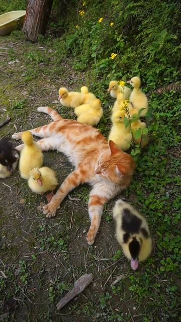 Спокойного отдыха