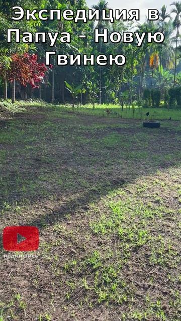 271. Моя хижина в деревне Горенду. Утро