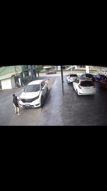 Два "товарища" - это сила