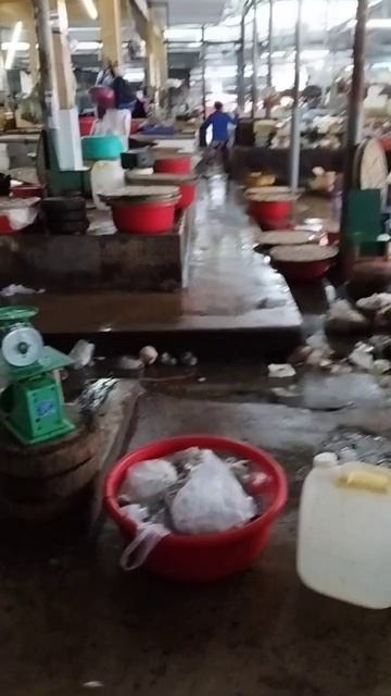 Крысы размером с кота на рынке во Вьетнаме! Не для слабонервных