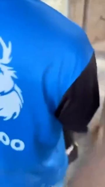 Лучшие кореша