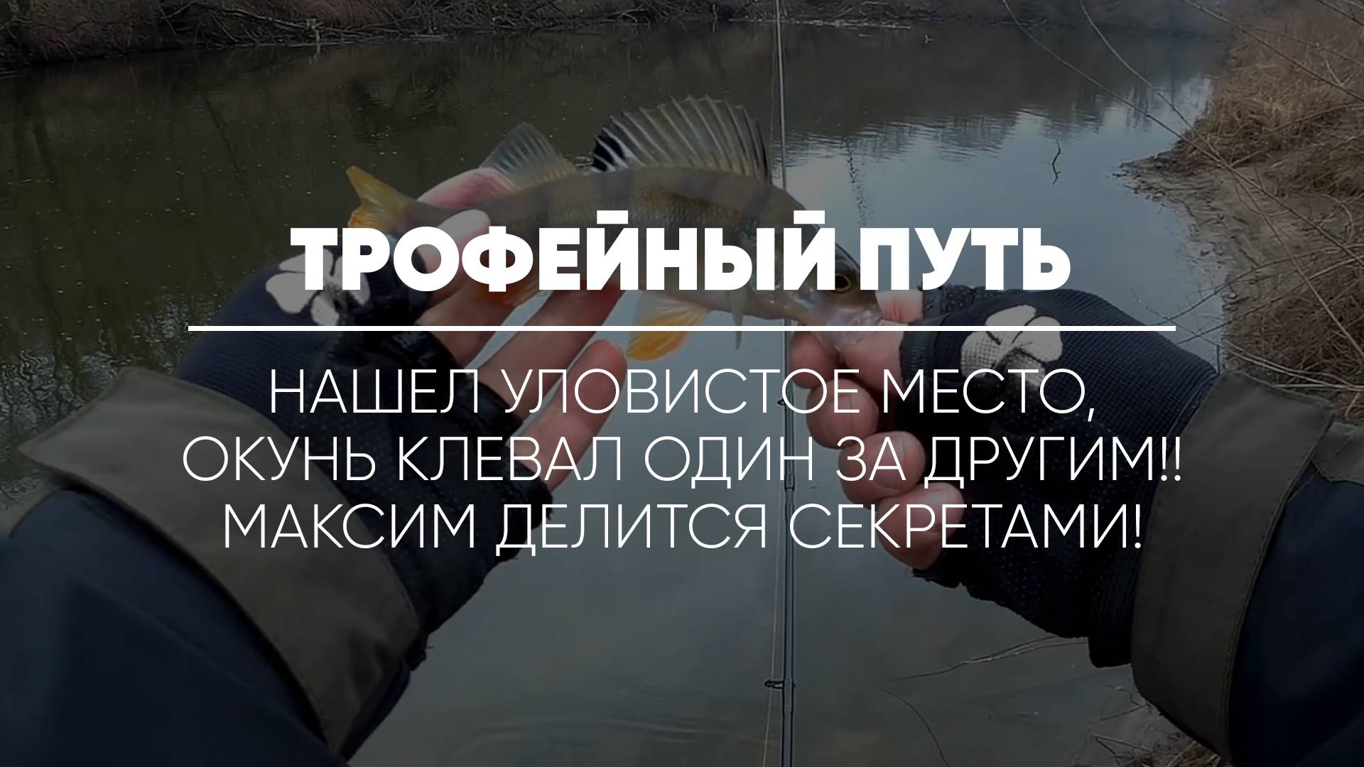 ТРОФЕЙНЫЙ ПУТЬ // Нашел уловистое место, окунь клевал один за другим!! Максим делится секретами!