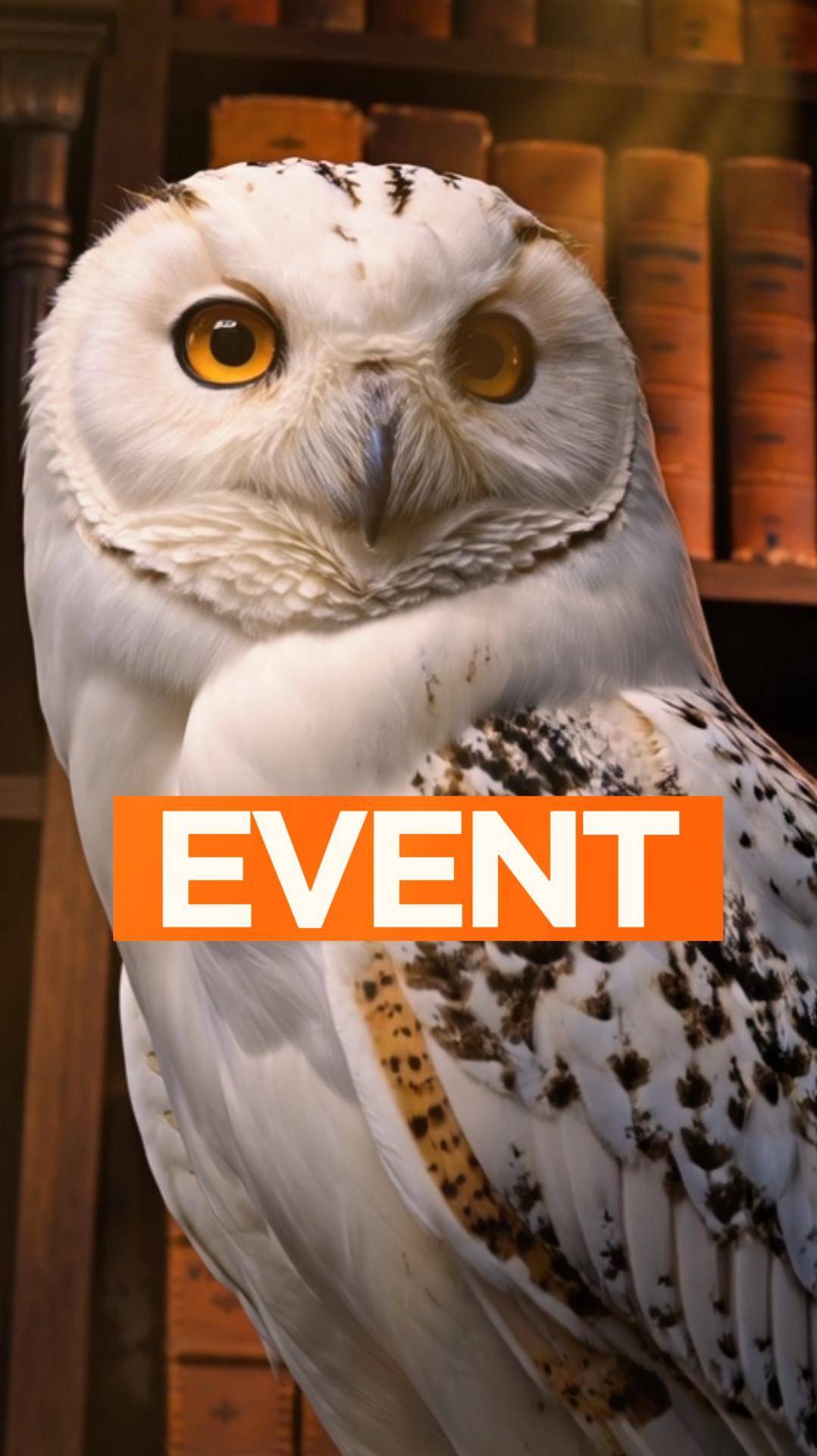 Время перезагрузить командный софт! 💻➡️💥  "КОД ЕДИНСТВА": корпоратив на новый уровень!