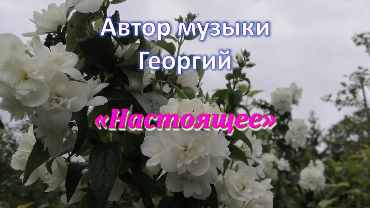 Настоящее Автор музыки Георгий