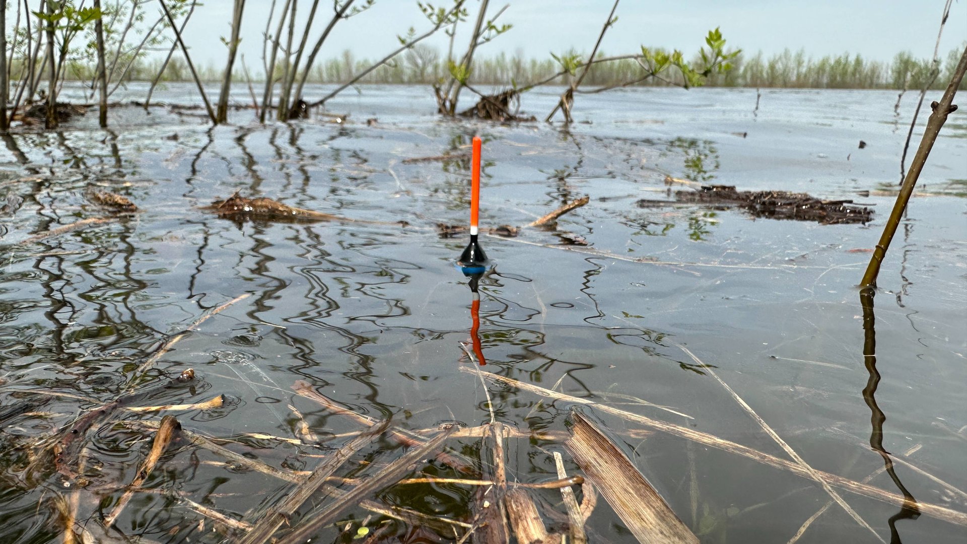 Батя как всегда в ударе. Шепчет и ловит 😁 Рыбалка на поплавок