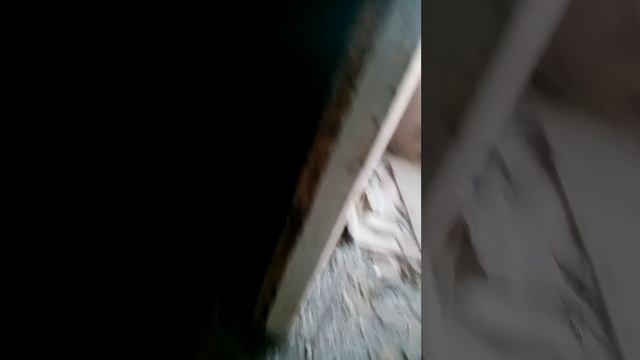 Сходили на заброшку в Лысьве 1 часть