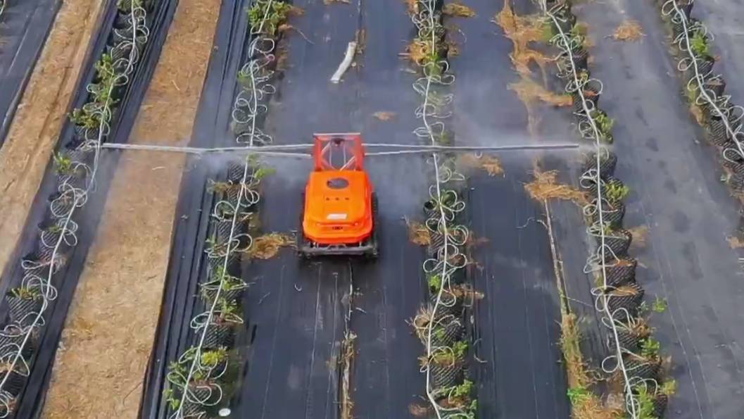 Работа опрыскивателя в питомнике (online-video-cutter.com) (1)