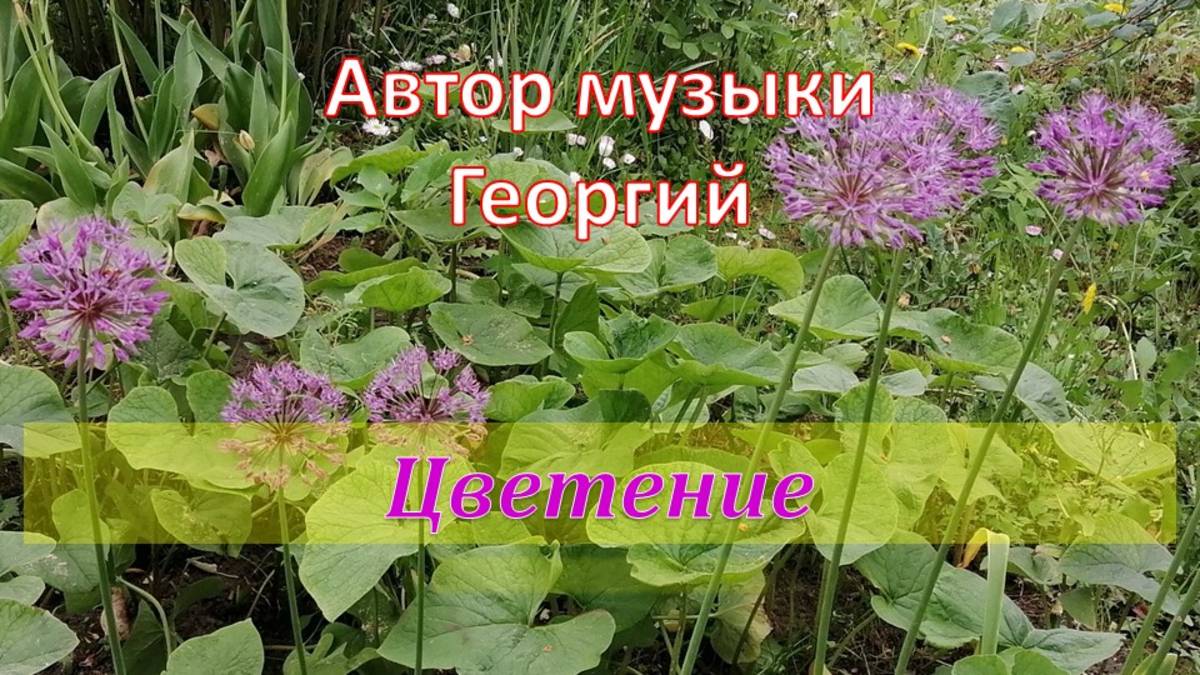 Цветение Автор музыки Георгий