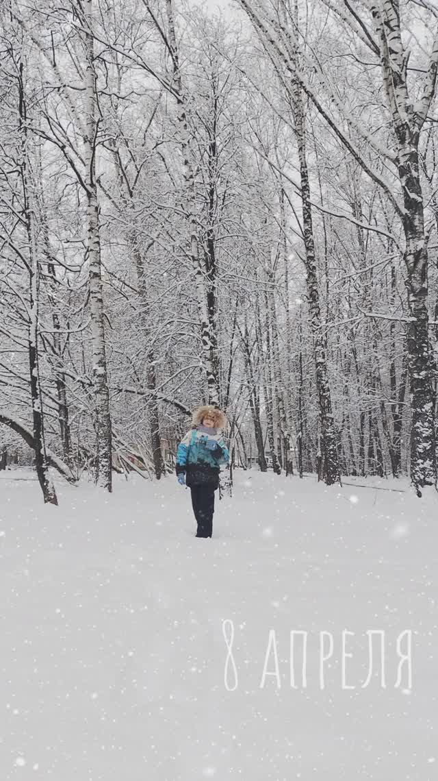 Снегопад 08.04.2025