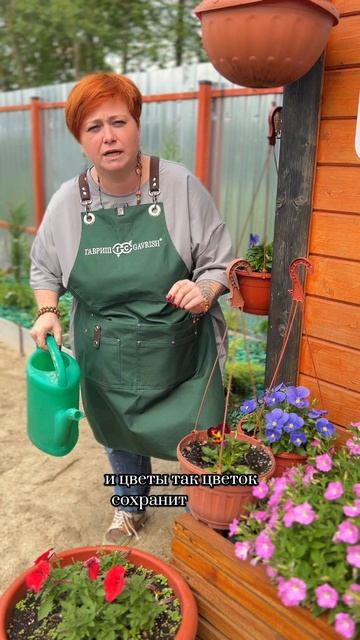 А ВЫ ЗНАЛИ, ЧТО ЭТИ ЦВЕТЫ СЪЕДОБНЫЕ?