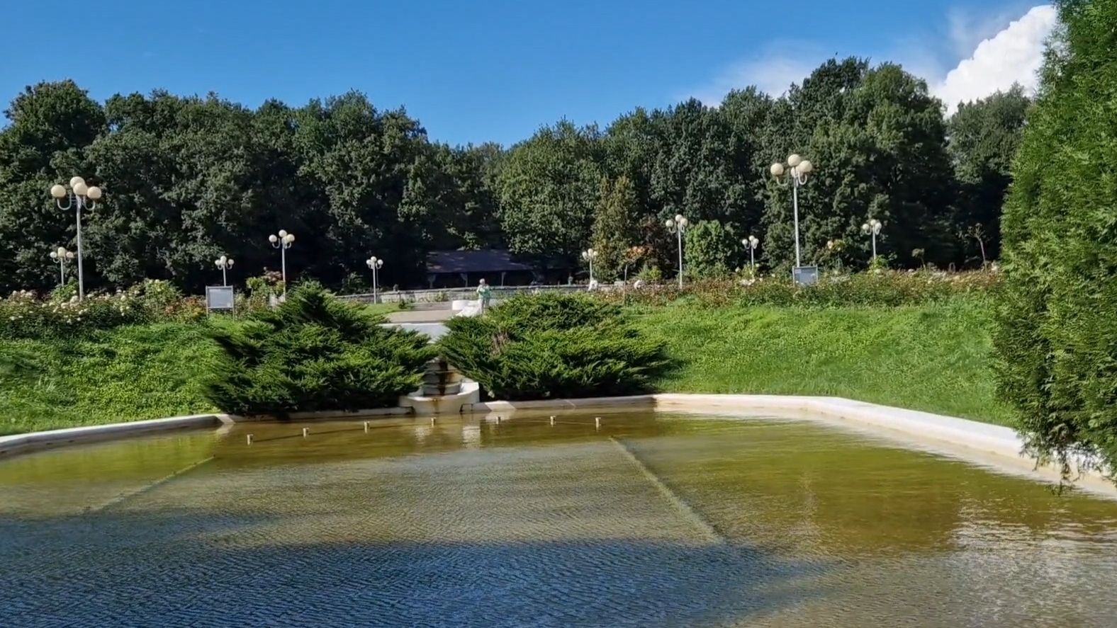 розарий ботанический сад