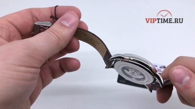 Мужские наручные часы Aviator DOUGLAS V.3.09.0.057.4