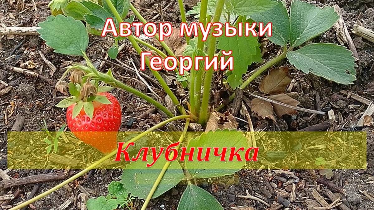 Клубничка Автор музыки Георгий