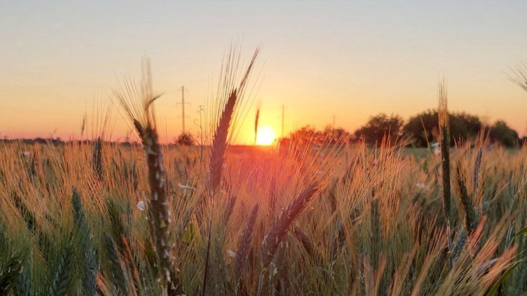 Новые осознания после Врат Льва. Эфир VK от 13.08.2025