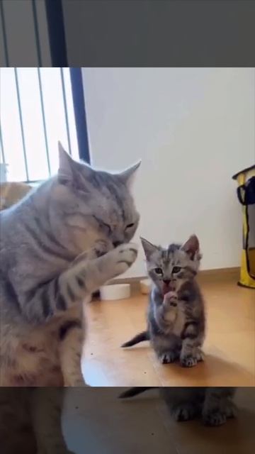 Делай как мама