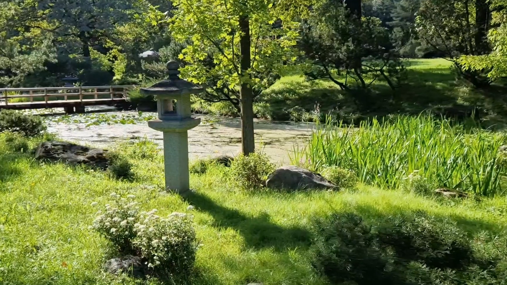 японский сад