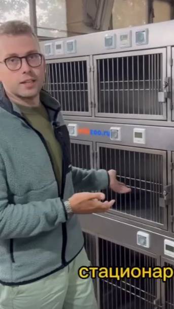 Модуль для ветеринарного стационара 10 клеток 3 яруса из нержавеющей стали