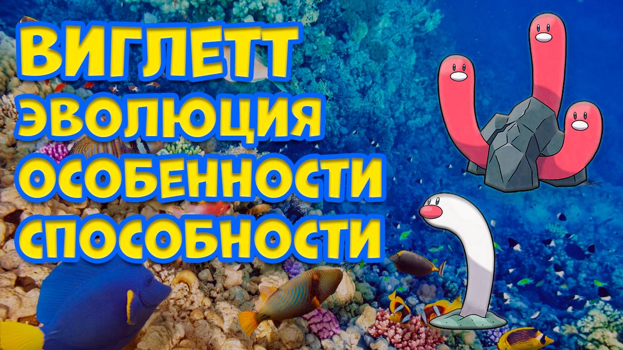 ВИГЛЕТТ. ЭВОЛЮЦИЯ, ОСОБЕННОСТИ, СПОСОБНОСТИ