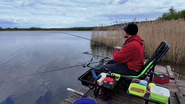 "НАРОДНЫЙ ПРОЕКТ БЕЛАРУСЬ"