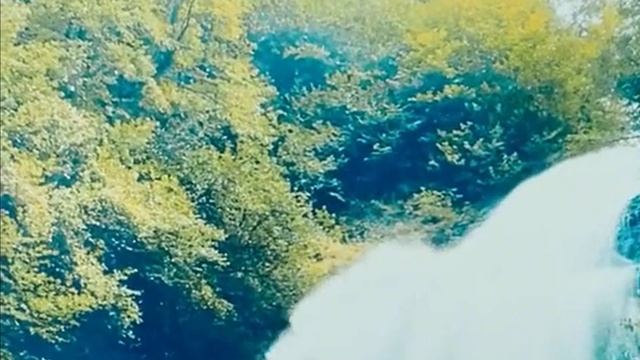 Истории из жизни - Сто двадцать девять мгновений счастья... Слушать рассказы