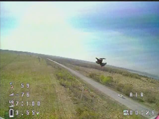 Cetus X  и хищная птица