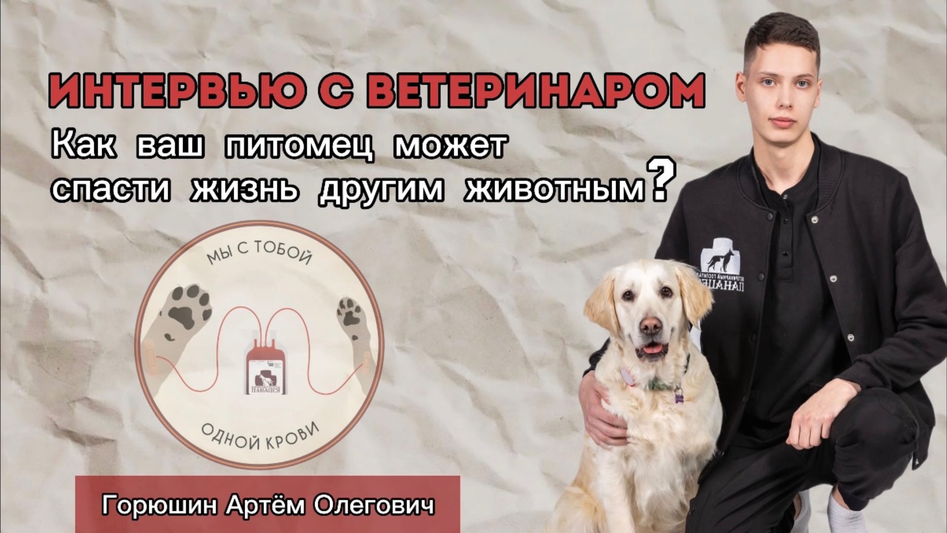 Частые вопросы о донации | Как ваш питомец может спасти жизнь?