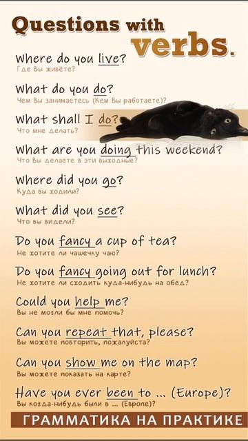 Вопросы с глаголами.