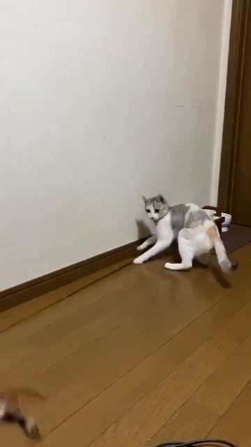 Сам с собой