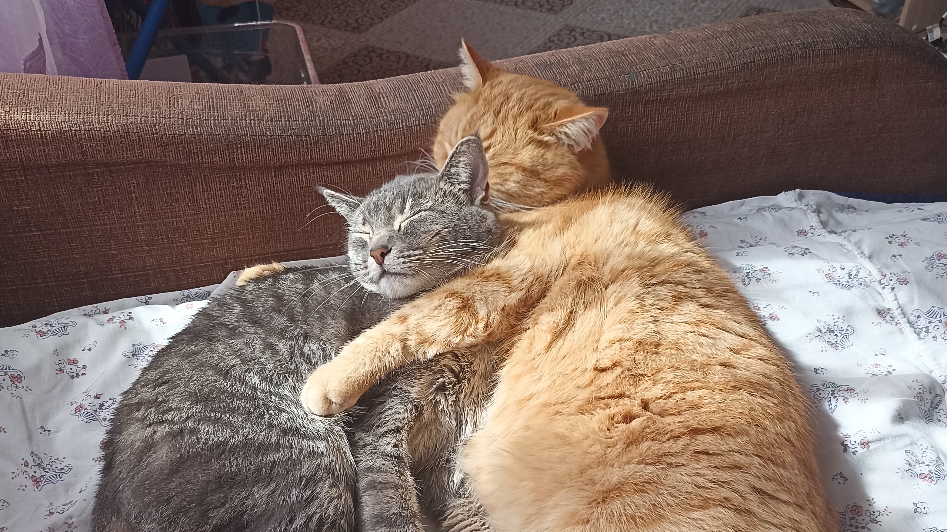 порядок книг КВ