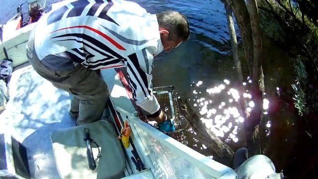 Неплохая рыбалка  день первый.