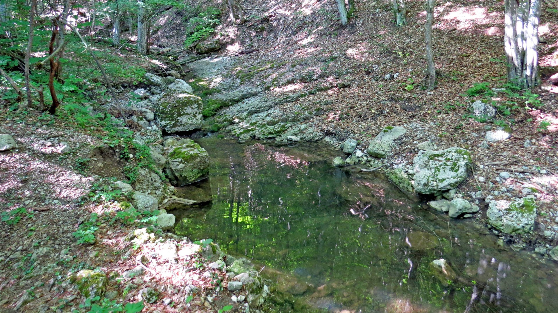 По руслу реки Суат. Крым.