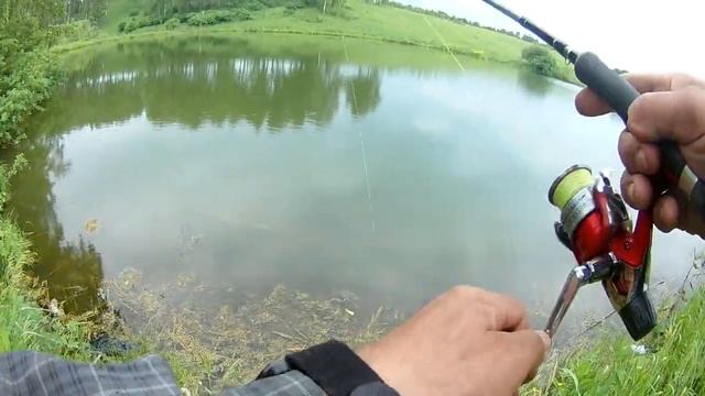 Рыбалка на полтора часа.