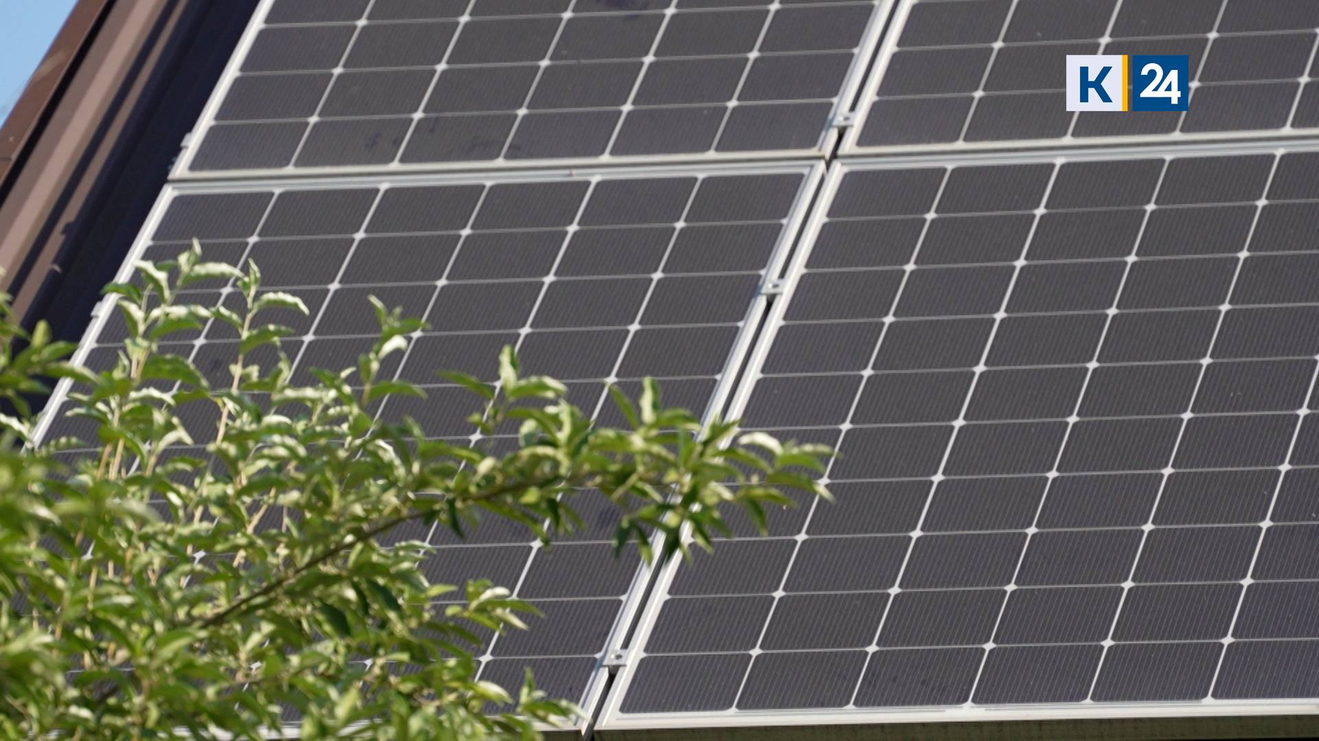 Место под солнцем: как развивается альтернативная энергетика?  Реальный сектор 14.08.2025