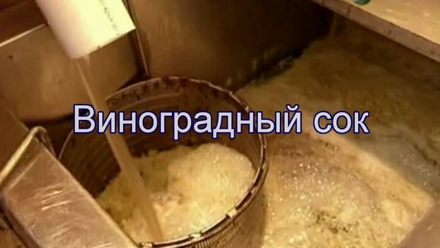 Как превращают целебный виноград в дерьмо