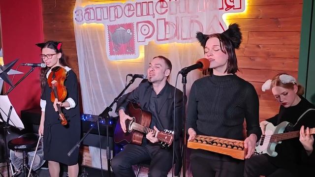 Стая «Котикошки»