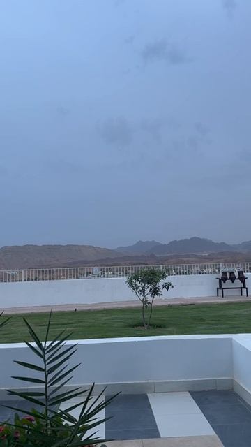 Albatros Sharm Resort – By Pickalbatros (Ex. Beach Albatros) Шарм-эль-Шейх, Египет