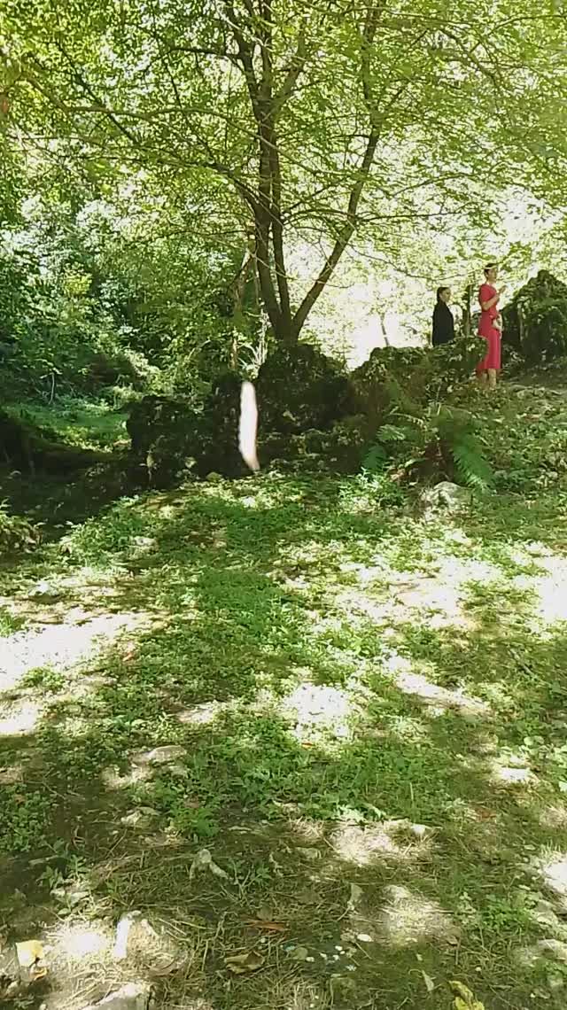 Летающая гусеница