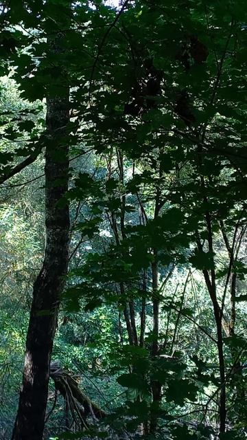 Можайск 8 - неприступная крепость