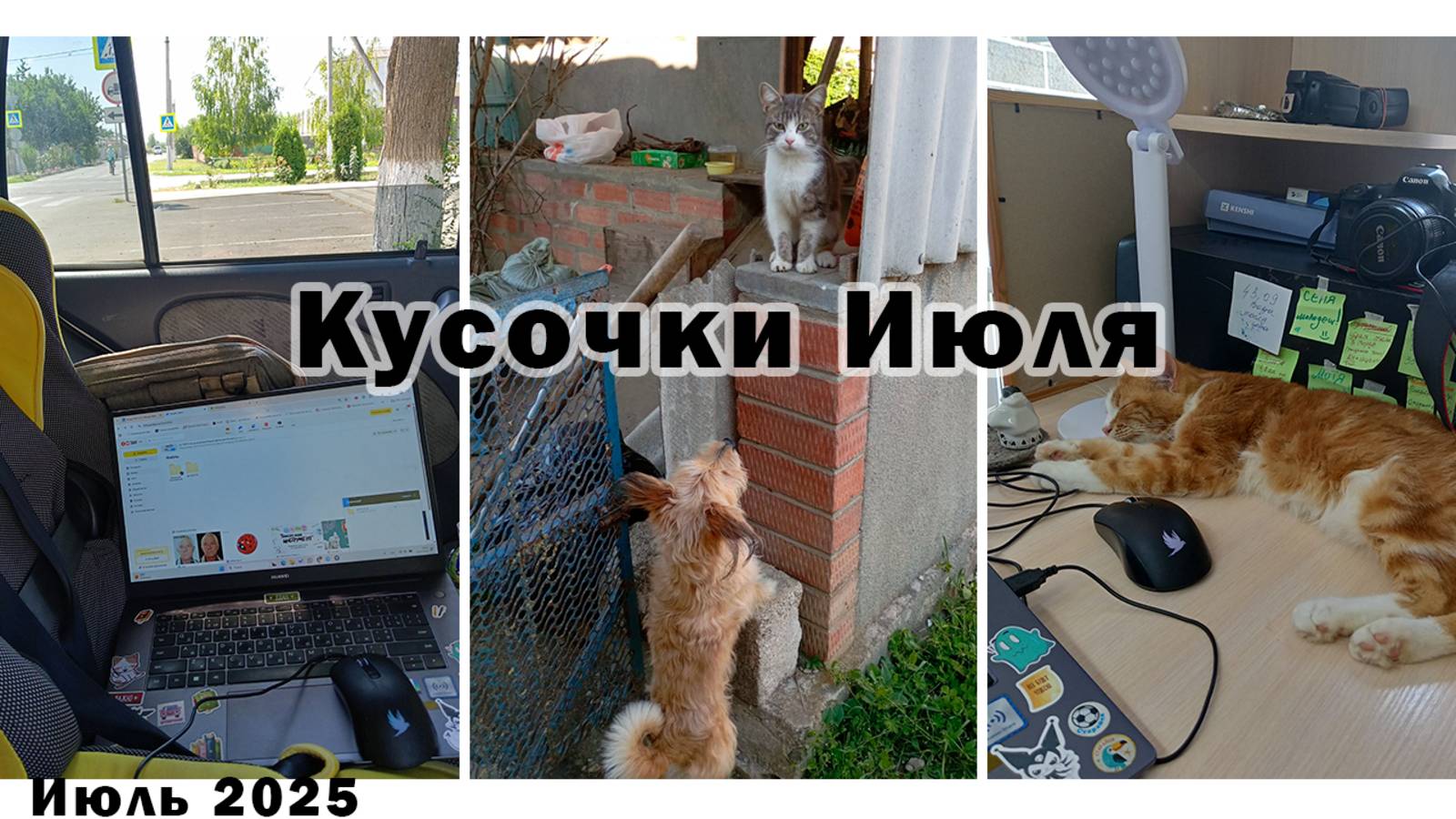 Июльские кусочки