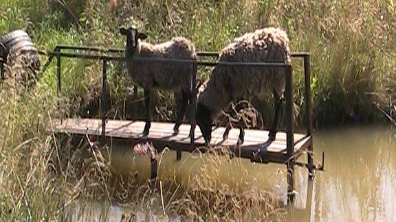 СДЕЛАЛ МНОГО ДЕЛ В ДЕРЕВНЕ ЗА 3,5 ЧАСА!!!