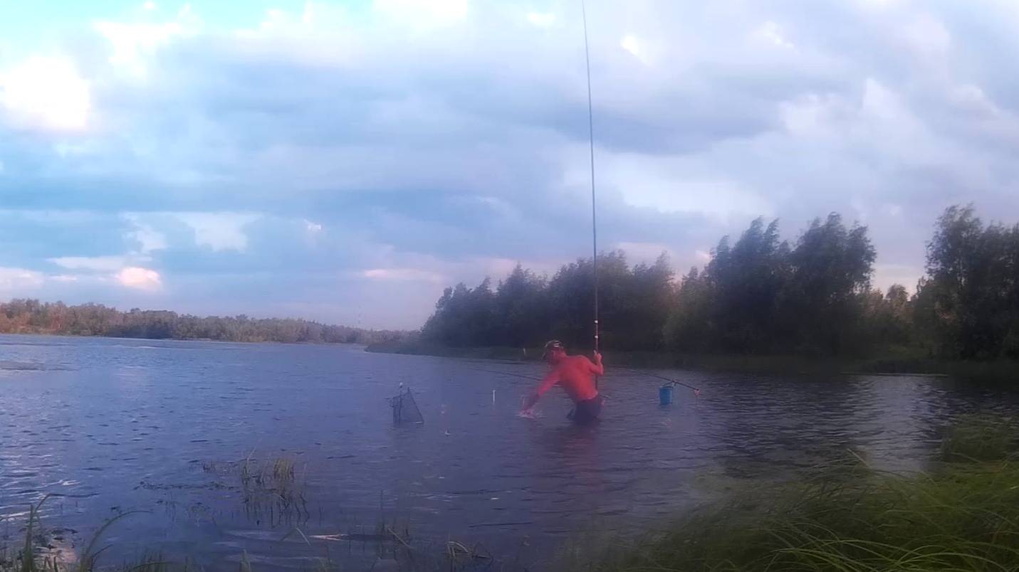 Река Ахтуба удочка и донка плотва красноперка и уклейки.