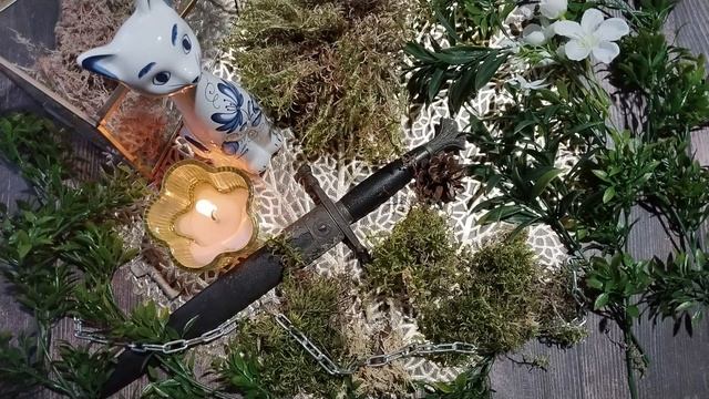 День физкультурника по-рязански и несущие только один вред пожарники. А. Ф. Кошко! Архивное дело №7