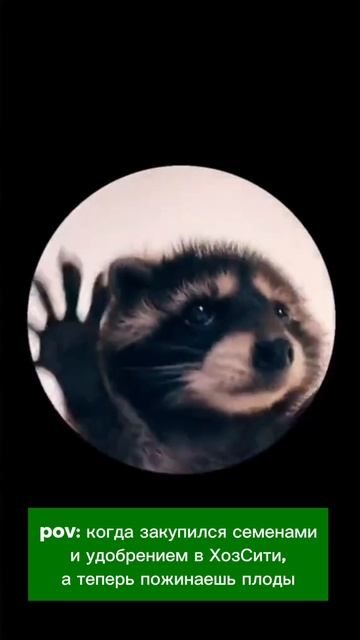 Удобрения и семена — залог богатого и здорового урожая.