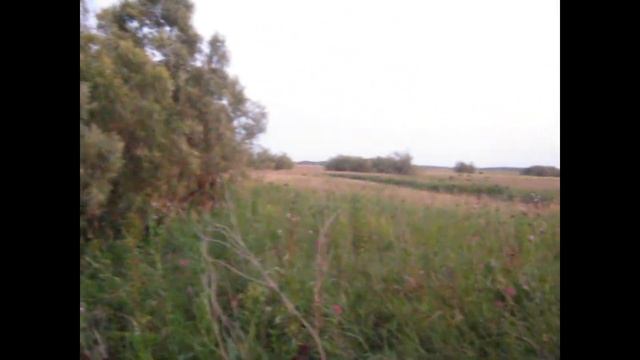 Мои рыбалки и курьезы на них.