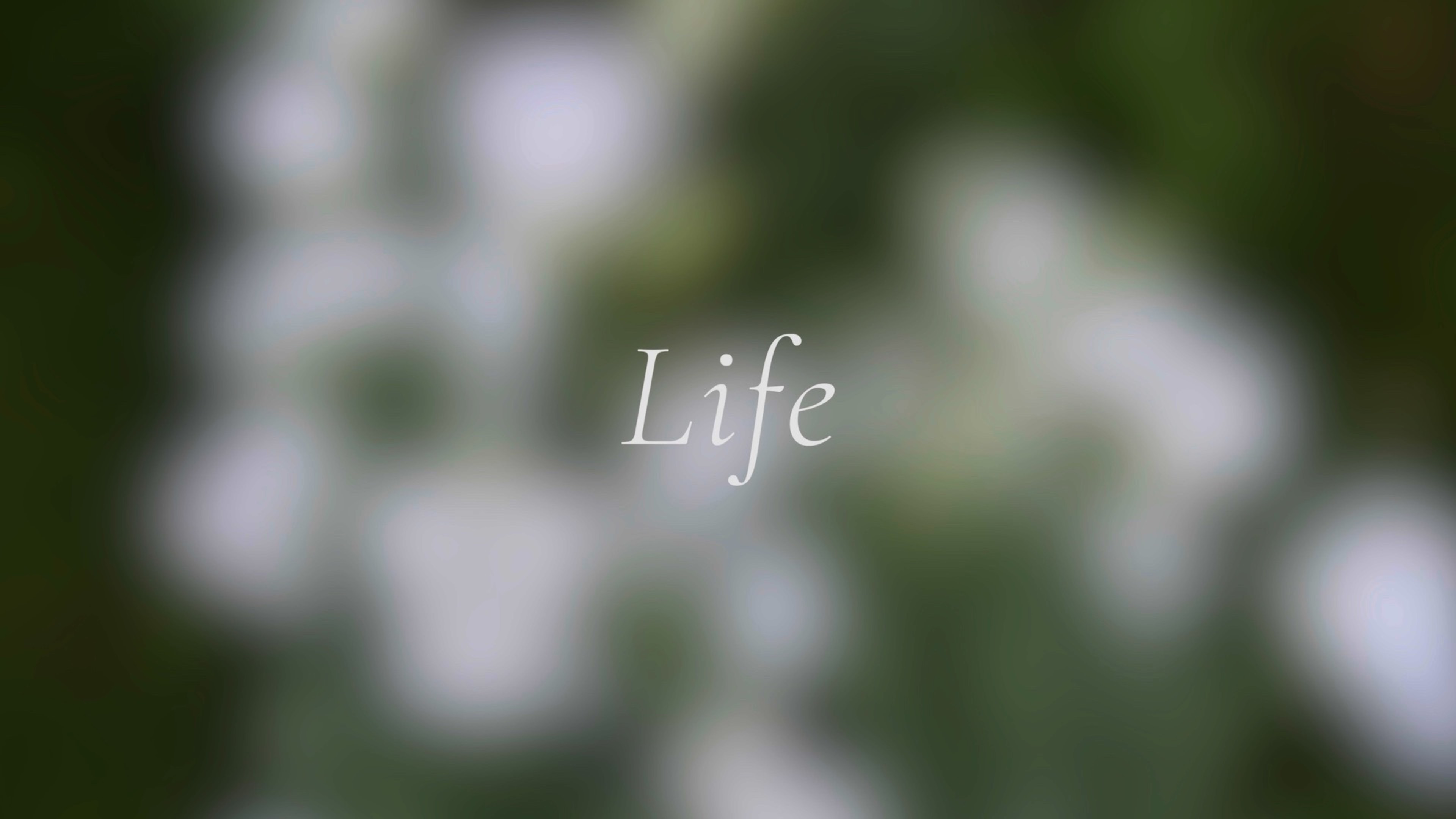 Соня Лебедева - Life (Official Lyric Video)