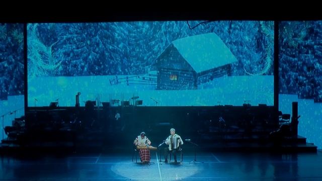 Мария Гончарова (гусли), Анатолий Николаевич Цевирябый (аккордеон) - "Ах вы сени, мои сени"