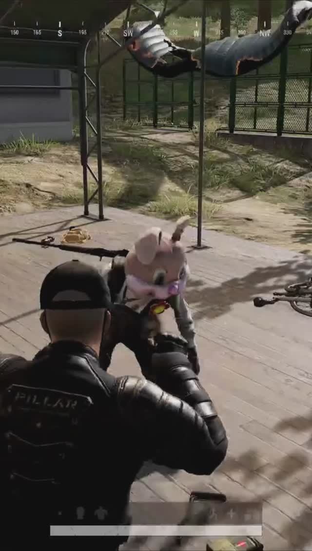 КУЛАКИ ПРОТИВ РУЖЬЯ - ЗАЯЦ НУ ПОГОДИ ПРЫГАЕМ В ЗАМЕСЫ! PUBG 2024  #приколы #short #pubg